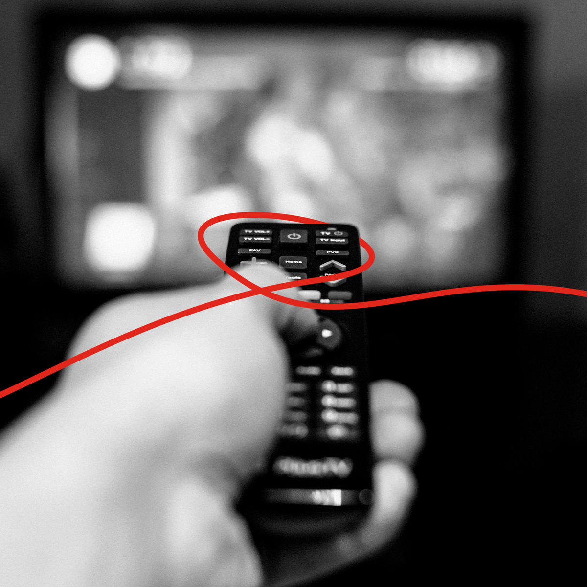 About Antsig – Quality You Can Trust for Connectivity Solutions
